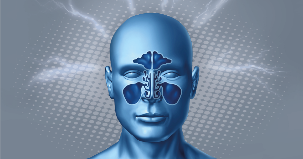 Quiz: Har vi bihuler fra fødselen av?