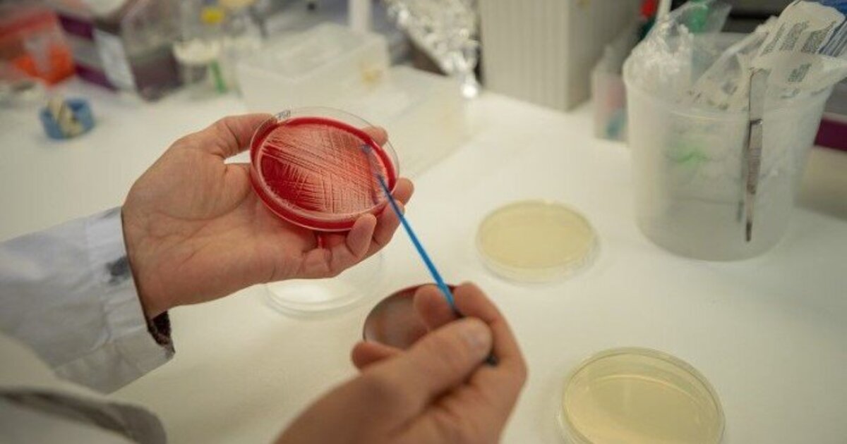 Oppdaget en helt ny stafylokokk