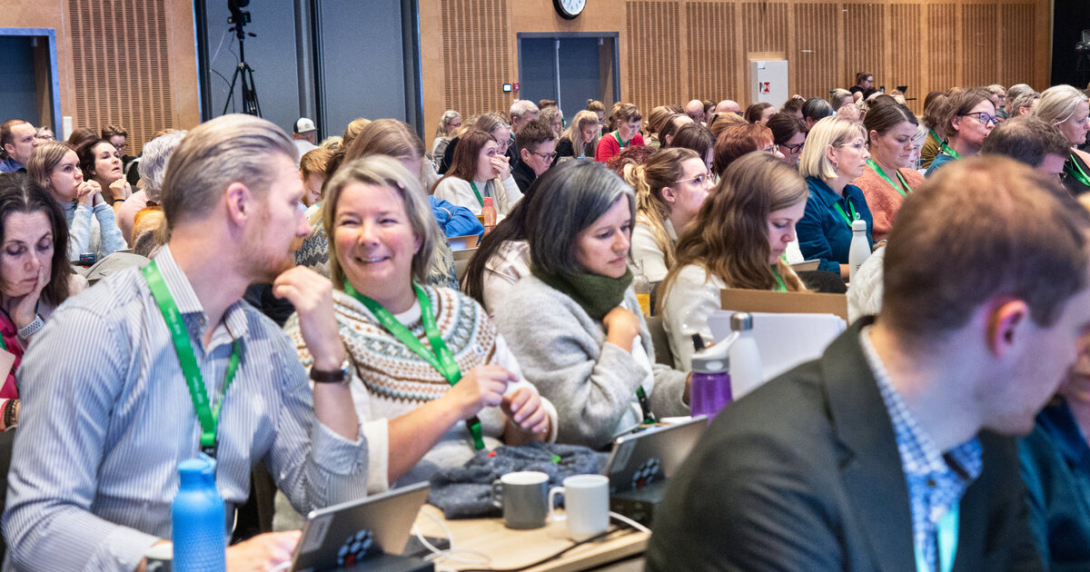 172 valgte sykepleiere kalles inn til et ekstra landsmøte