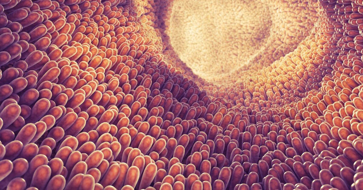 Går inn for tarmkreftscreening fra 2019