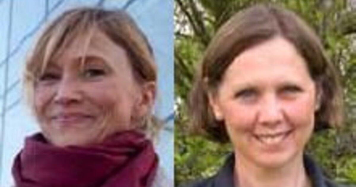 Depressive symptomer etter hjerneslag