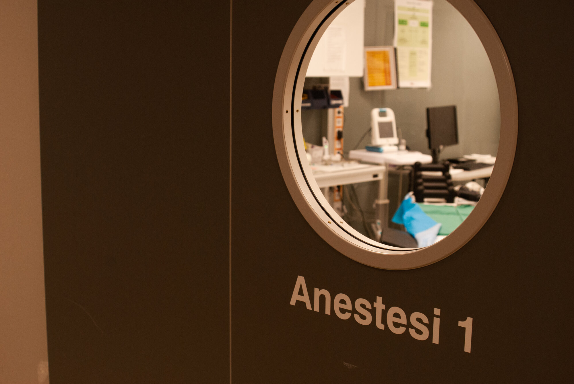 Kysthospitalet i Hagevik – 130 år med sterke historier